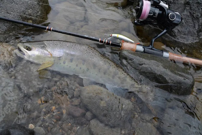 How to select Trout BFS Lure